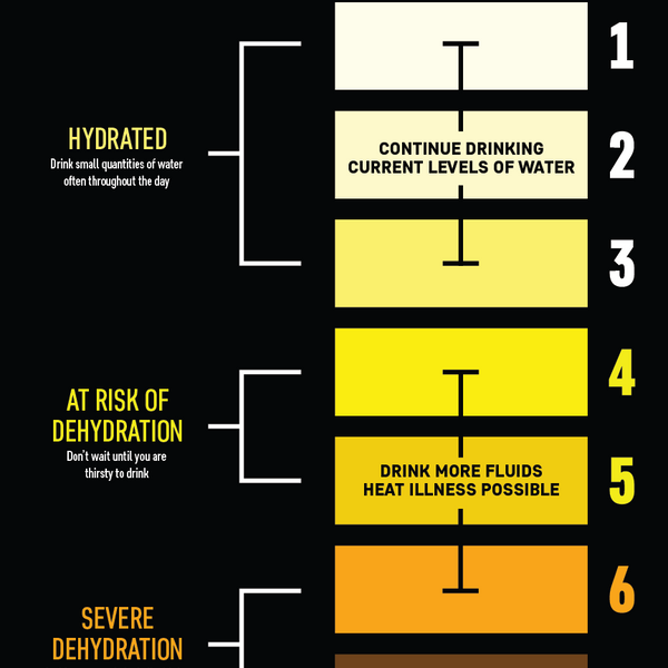 urine chart