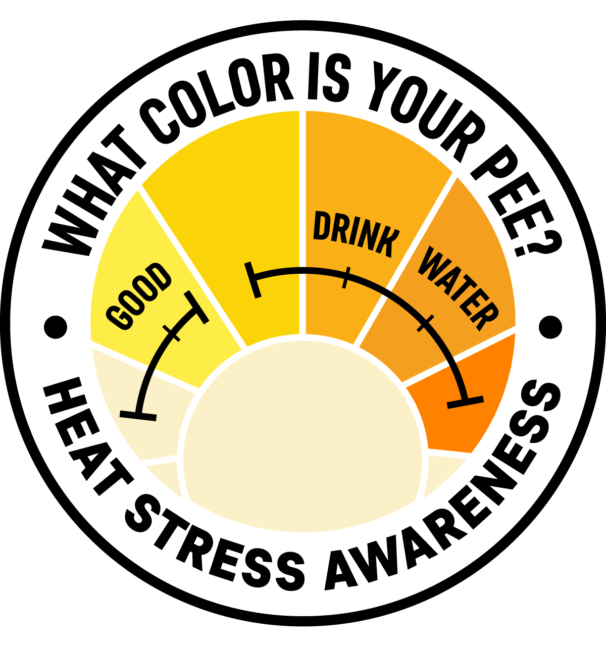Heat Stress Awareness - What Color is Your Pee? with Markings Hard Hat